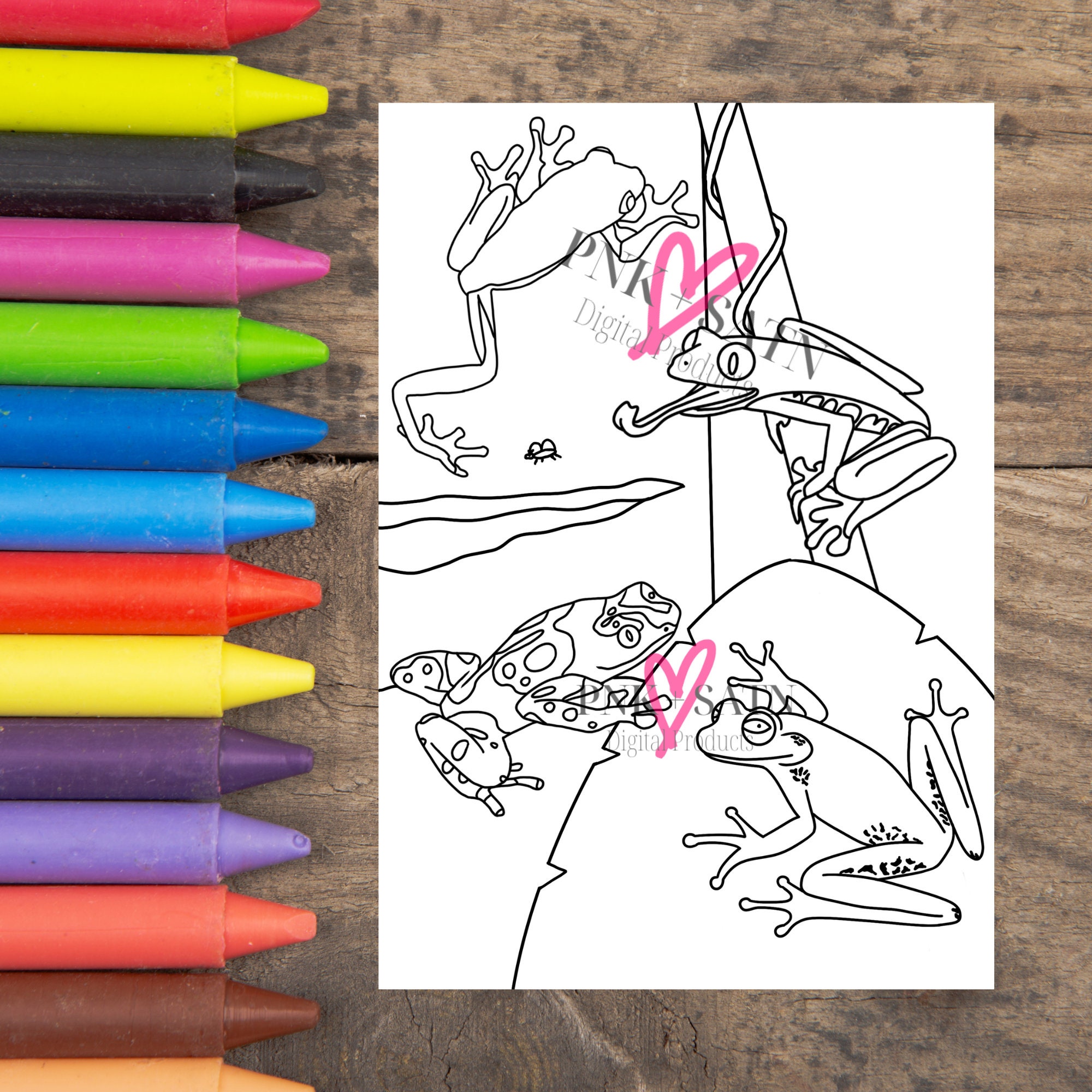 Jungle Animal Coloring Page Bundle, Kids Coloring Pages, Coloring Page ...