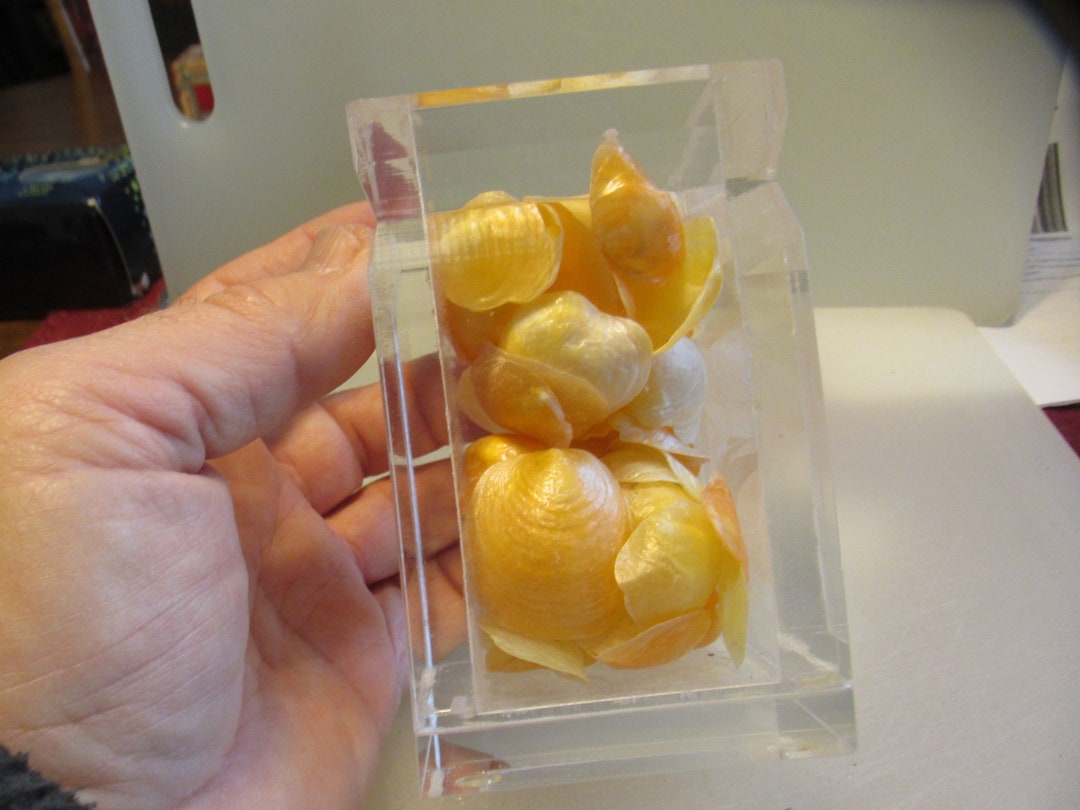 Lucite Crystal Clear Container 3x4 With Soft Feet for Display Items - Etsy