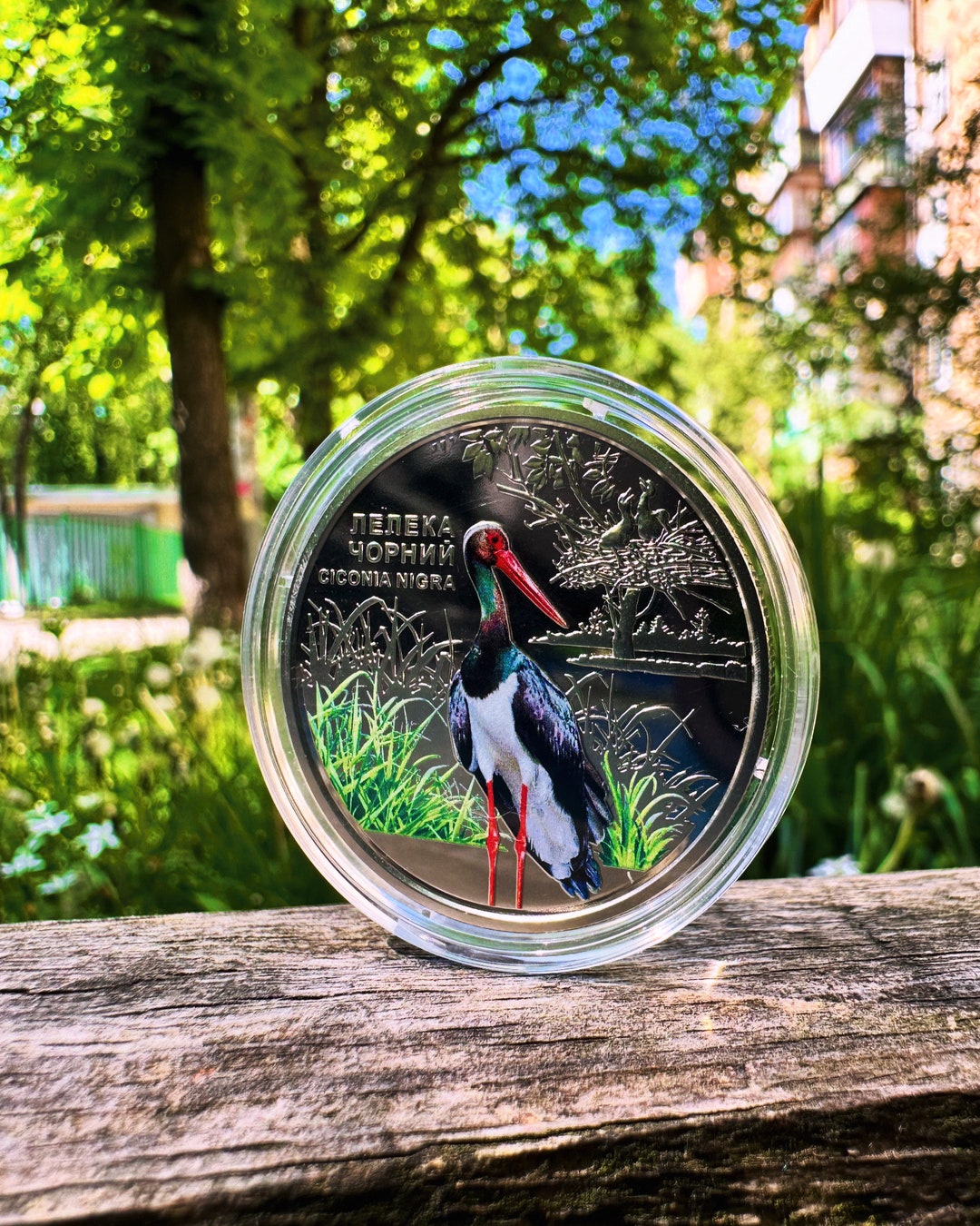 New Ukraine 5 Hryven 2024 UNC Chernobyl. Revival. Black Stork. Ciconia ...