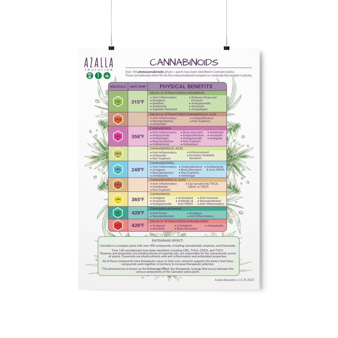 Infographic Cannabinoids Poster - Etsy