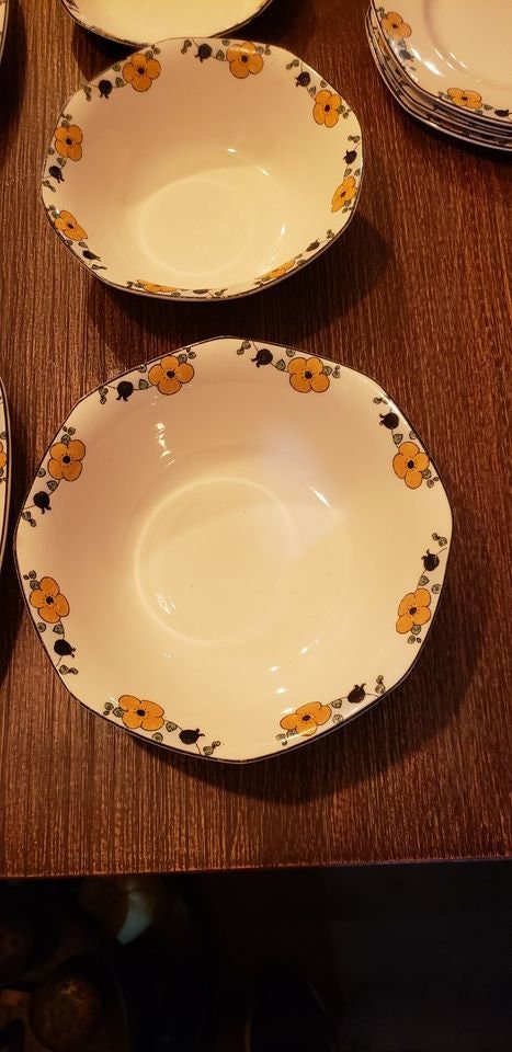 RARE Vintage 1920's Homer Laughlin Flower Pattern Dinnerware made 1926 ...