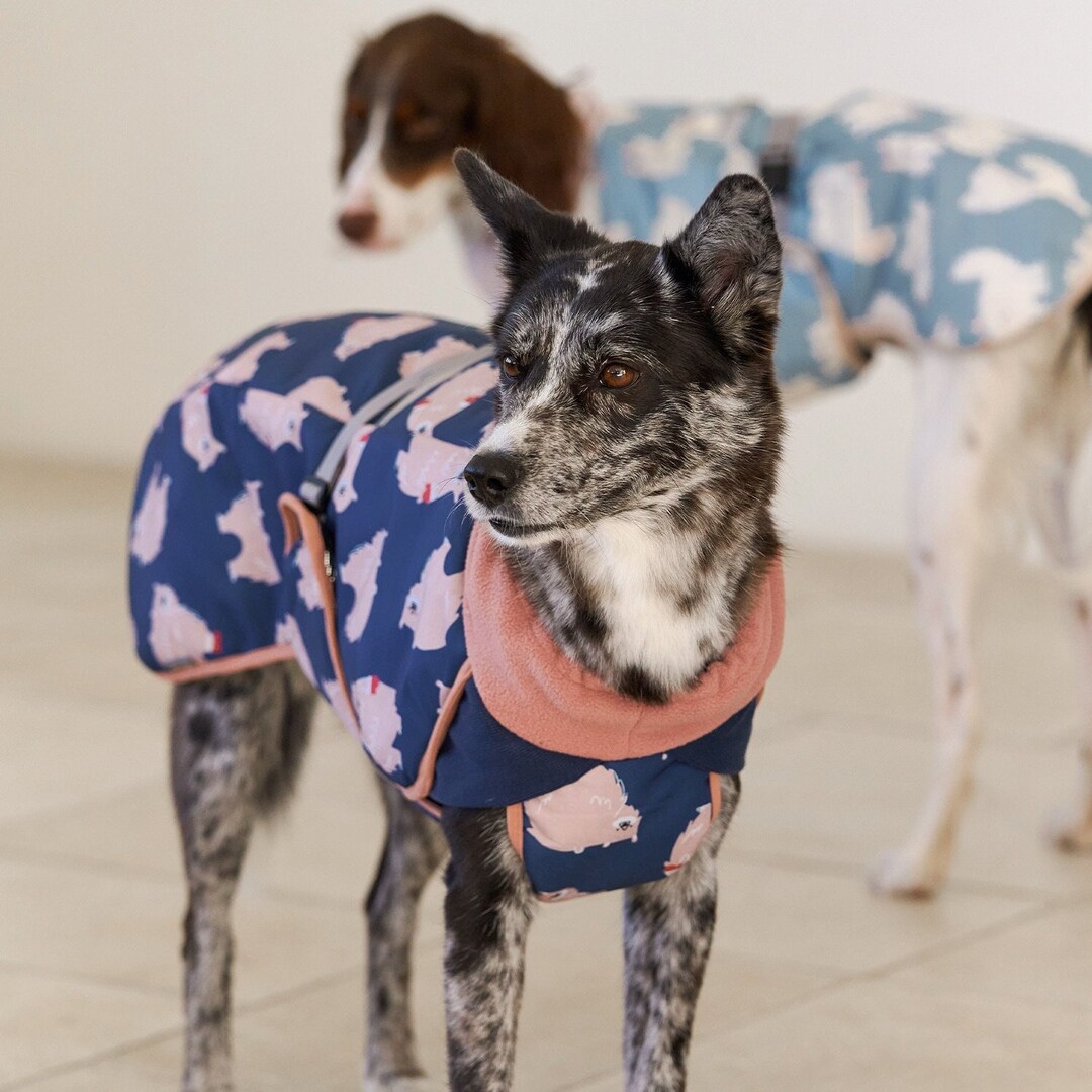 Warm Winter Dog Jacket Thermal Reflective Dog Jacket Adjustable ...