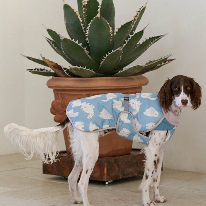 Warm Winter Dog Jacket Thermal Reflective Dog Jacket Adjustable ...