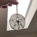 Sand Dollar Stained Glass Pattern | Shell Ornament, 3 Sizes (digital ...