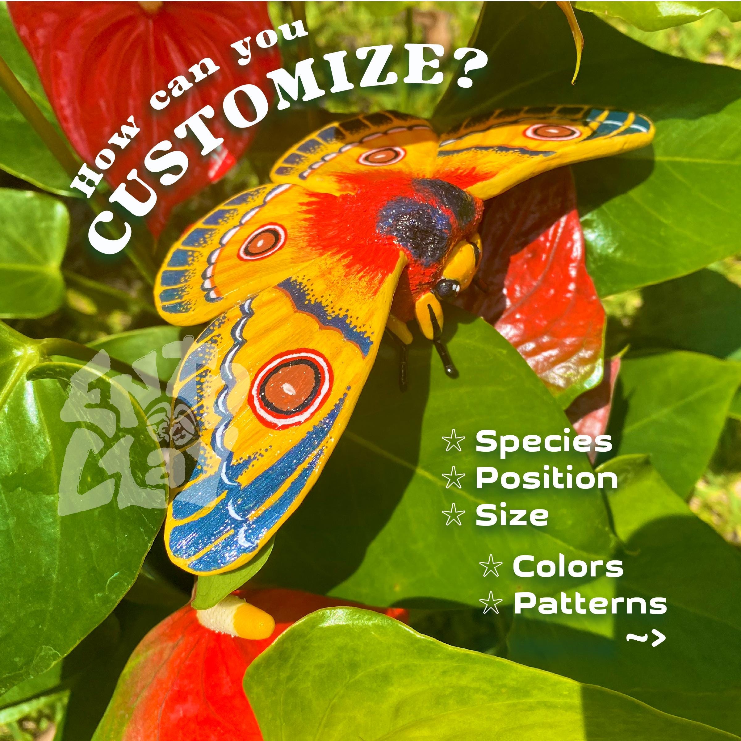 CUSTOM Moth Butterfly Bug Art Insect Model Sculpture Display - Etsy