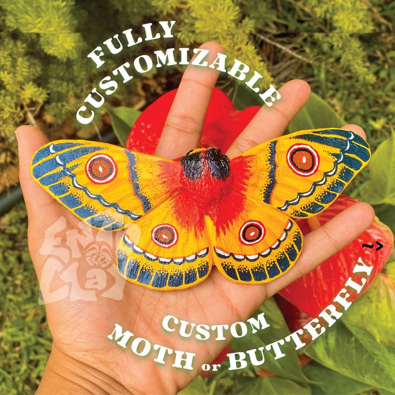 CUSTOM Moth Butterfly Bug Art Insect Model Sculpture Display - Etsy