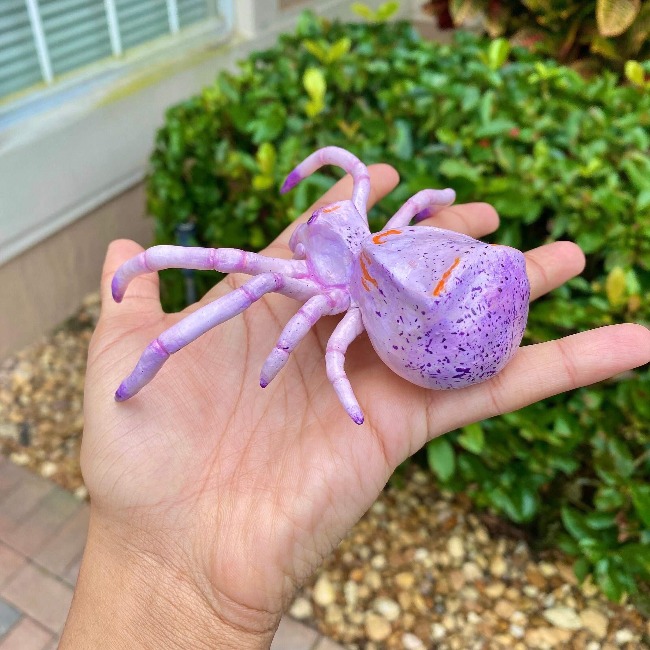 CUSTOM Arachnid Bug Art Scorpion Spider Model Sculpture - Etsy