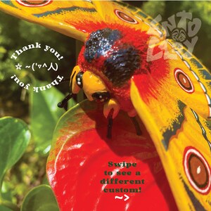 CUSTOM Moth Butterfly Bug Art Insect Model Sculpture Display - Etsy