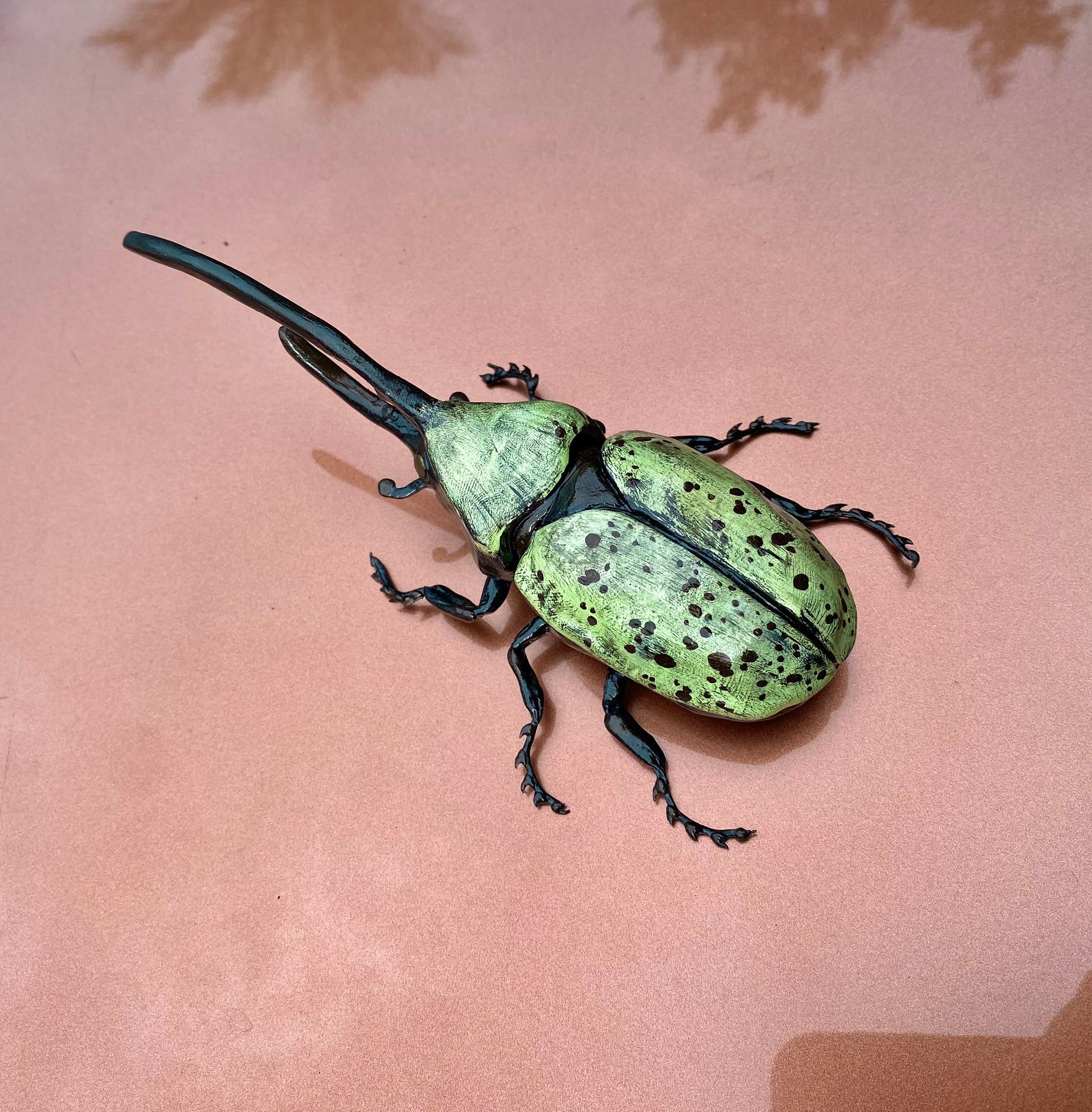 CUSTOM Beetle Bug Art Insect Model Sculpture Display 6 Legged - Etsy