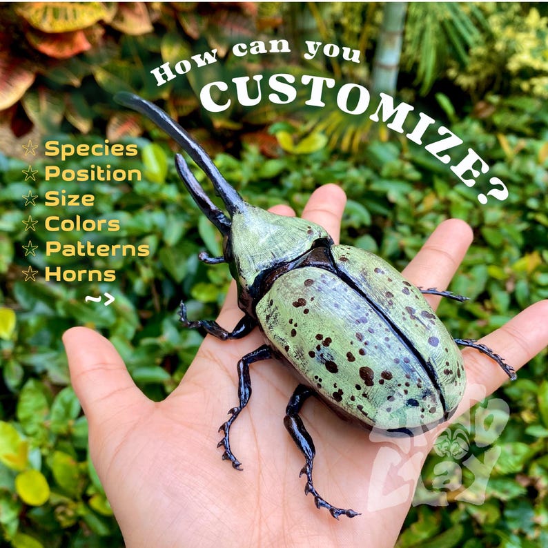 CUSTOM Beetle Bug Art Insect Model Sculpture Display - 6 Legged - Etsy