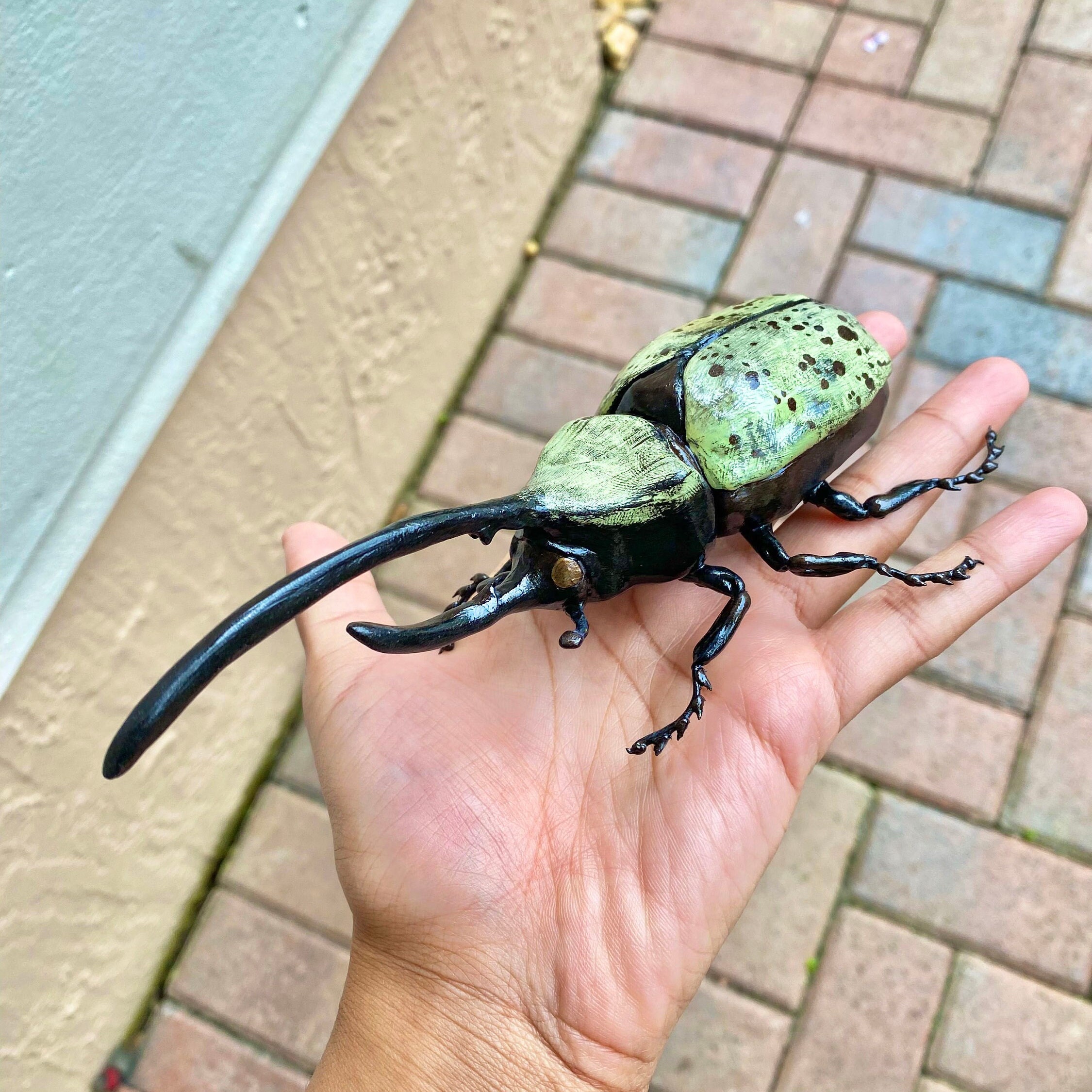 CUSTOM Beetle Bug Art Insect Model Sculpture Display 6 - Etsy