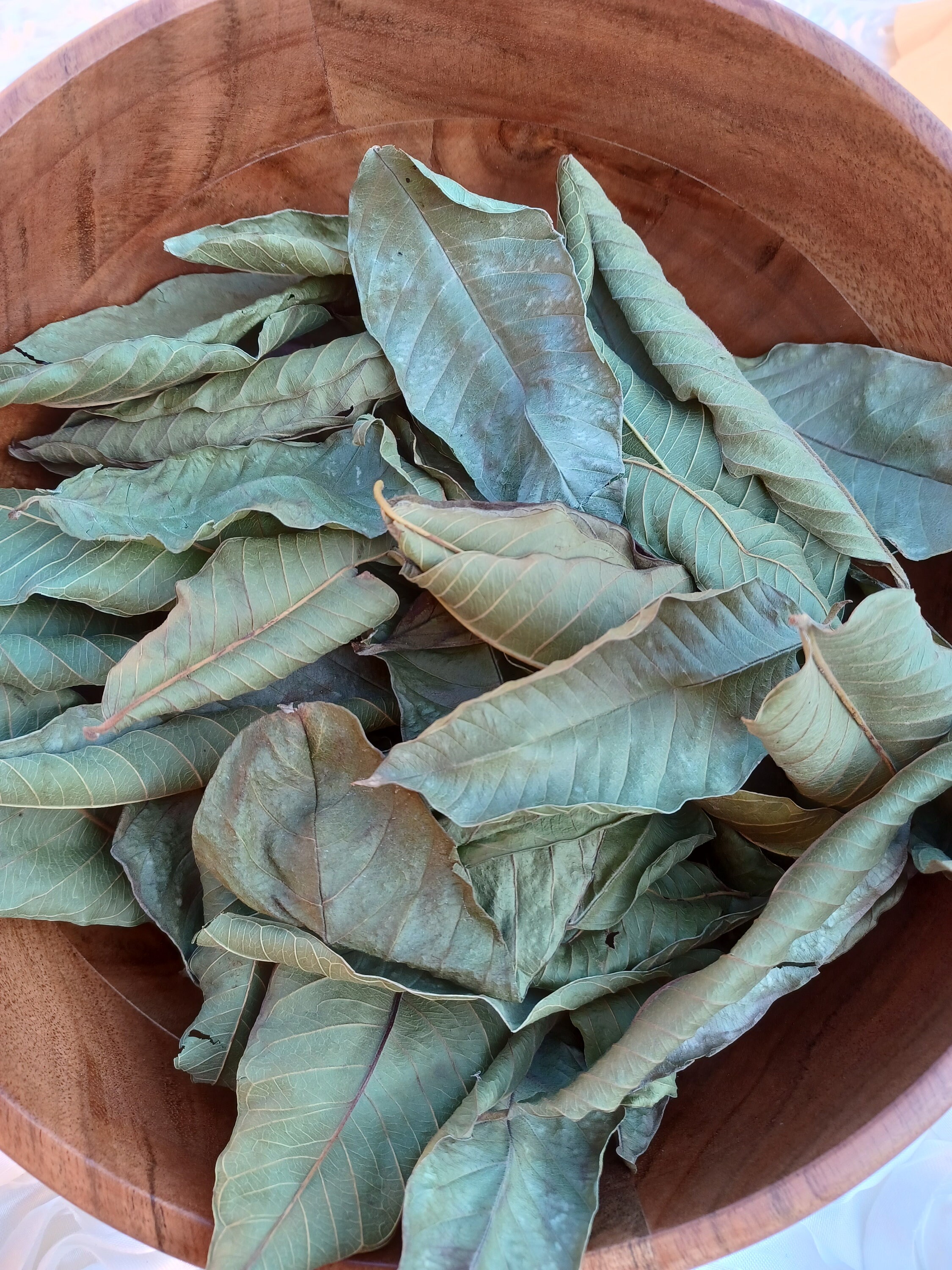 Guava Leaves Hojas De Guayava - Etsy