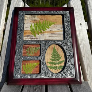 Pressed Fern Artwork With Birch Bark in Pewter Frame Botanical ...