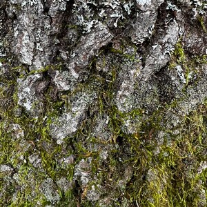 Moss Wrap DIY Printable | Vase Wrap Craft | Rustic Decor Project ...