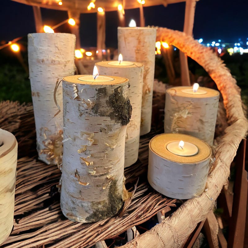 White Birch Logs - Etsy