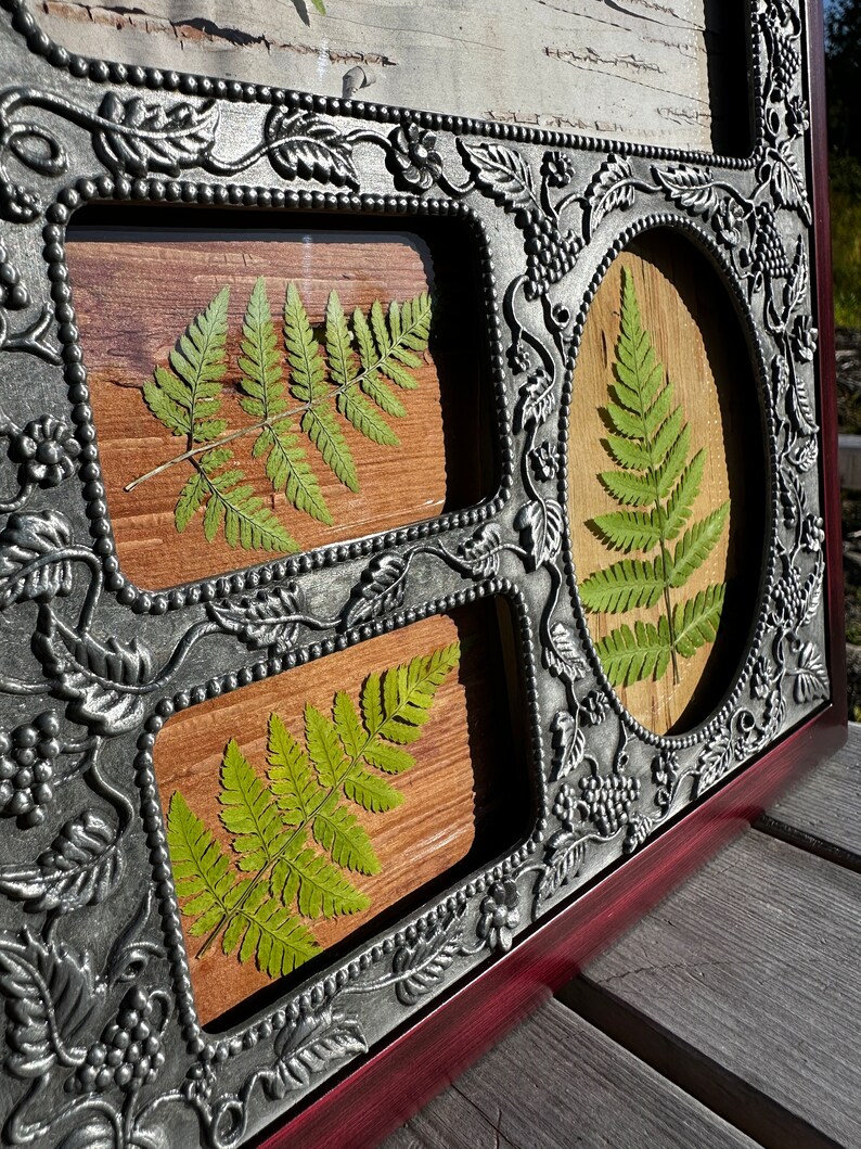 Pressed Fern Artwork With Birch Bark in Pewter Frame Botanical ...