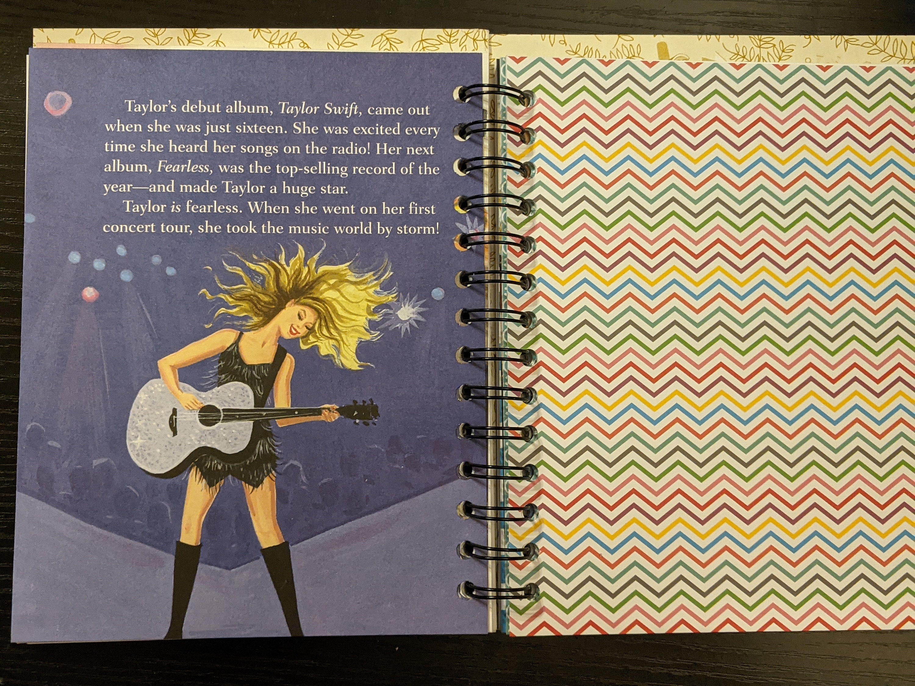 Taylor Swift Journal, Taylor Swift Notebook, Journal, Taylor, TS, Speak ...