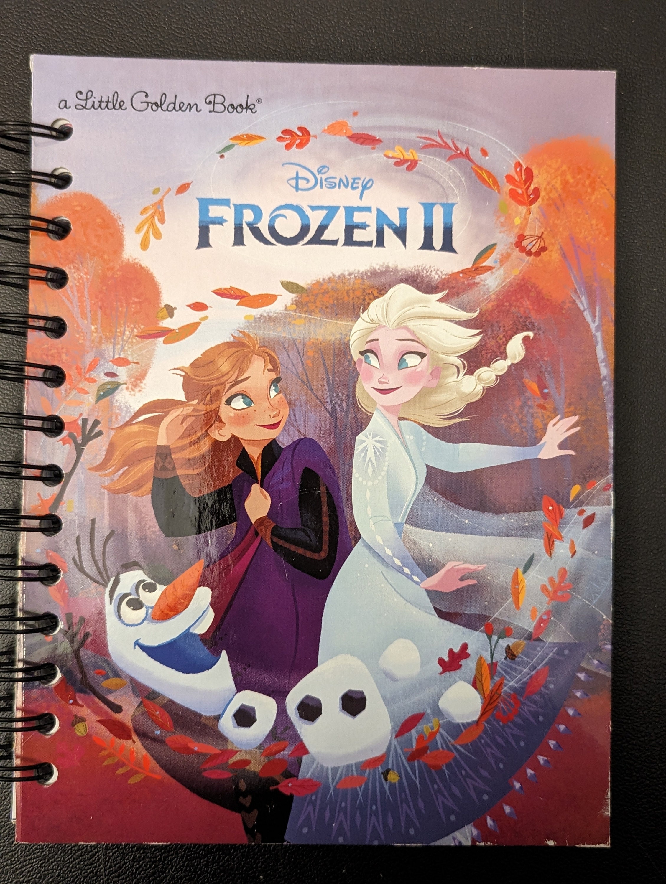 Frozen, Frozen 2, Disney's Frozen, Notebook, Journal, Little Golden Book, Princess - Etsy