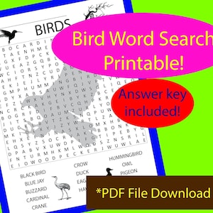 Bird Word Search, Kids Bird Word Search, Bird Search and Find, Bird ...
