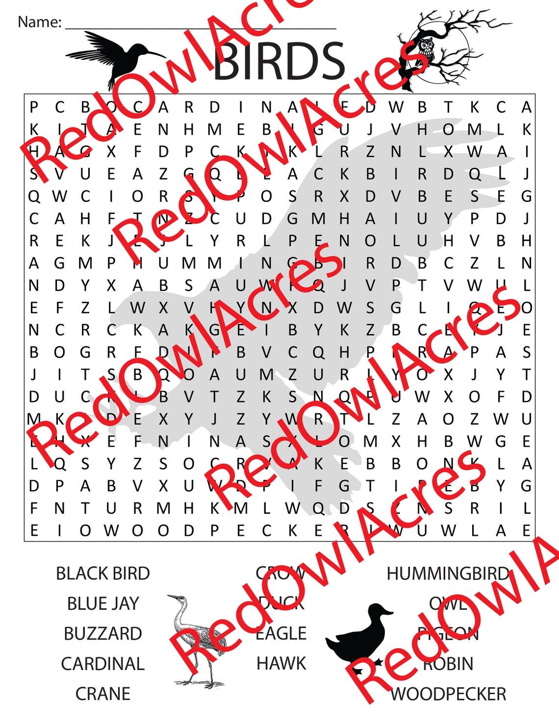Bird Word Search, Kids Bird Word Search, Bird Search and Find, Bird ...