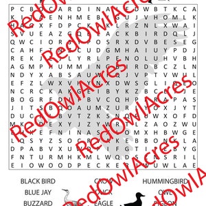Bird Word Search, Kids Bird Word Search, Bird Search and Find, Bird ...