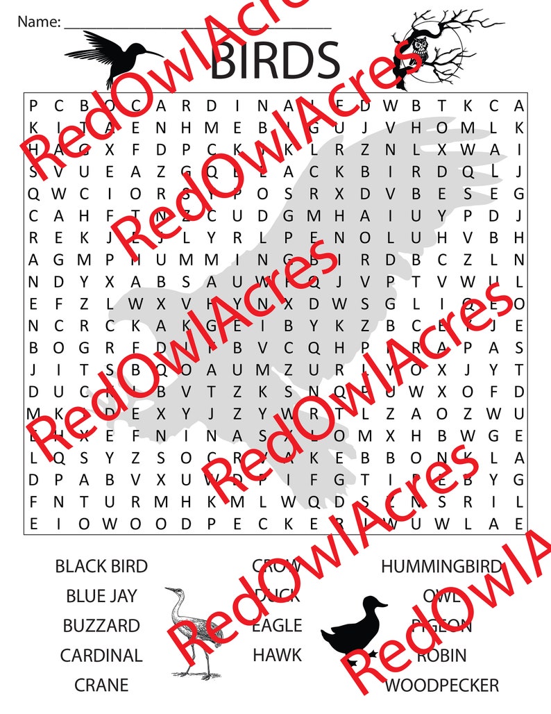 Bird Word Search, Kids Bird Word Search, Bird Search and Find, Bird ...