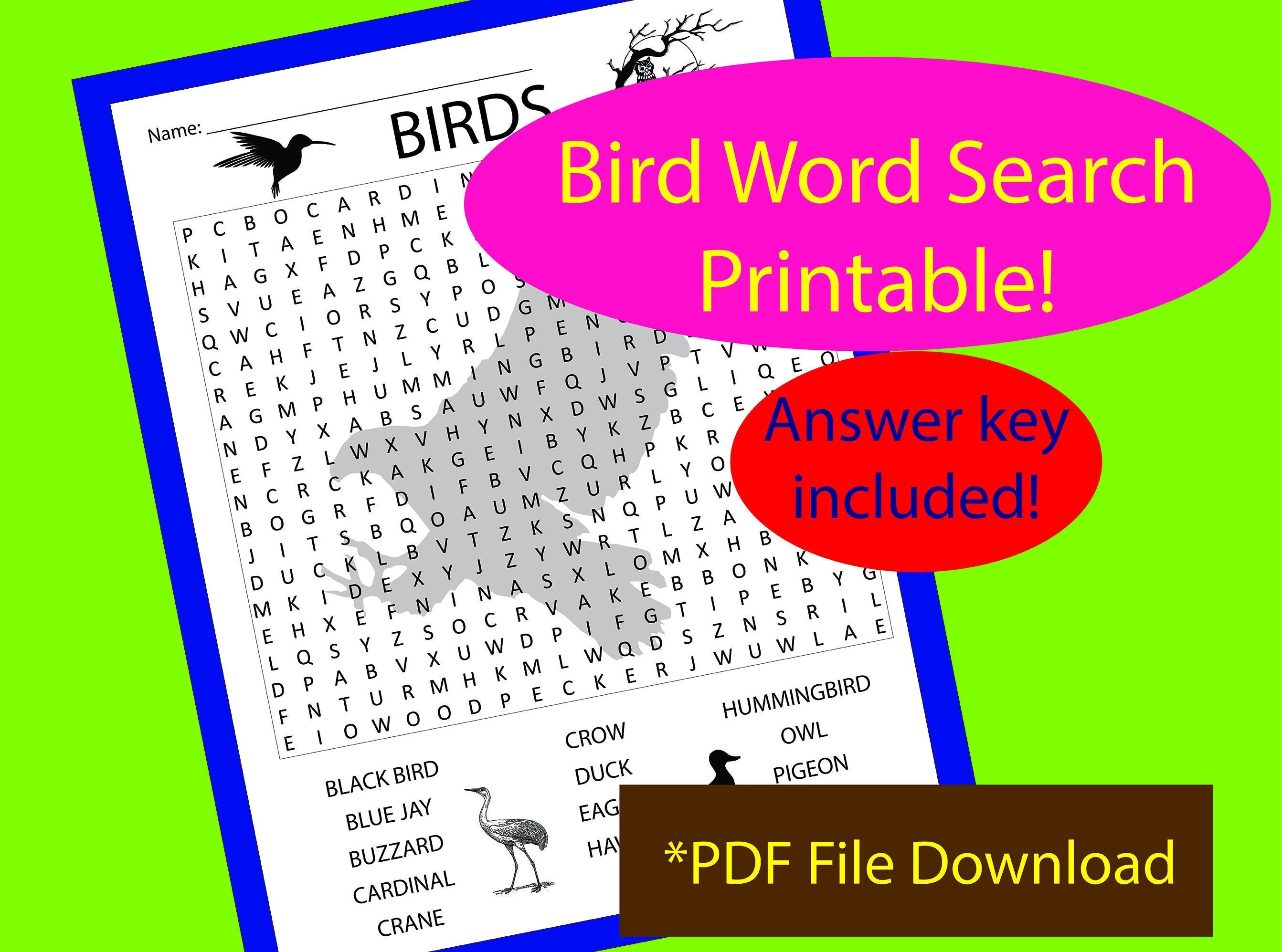 Bird Word Search, Kids Bird Word Search, Bird Search and Find, Bird ...