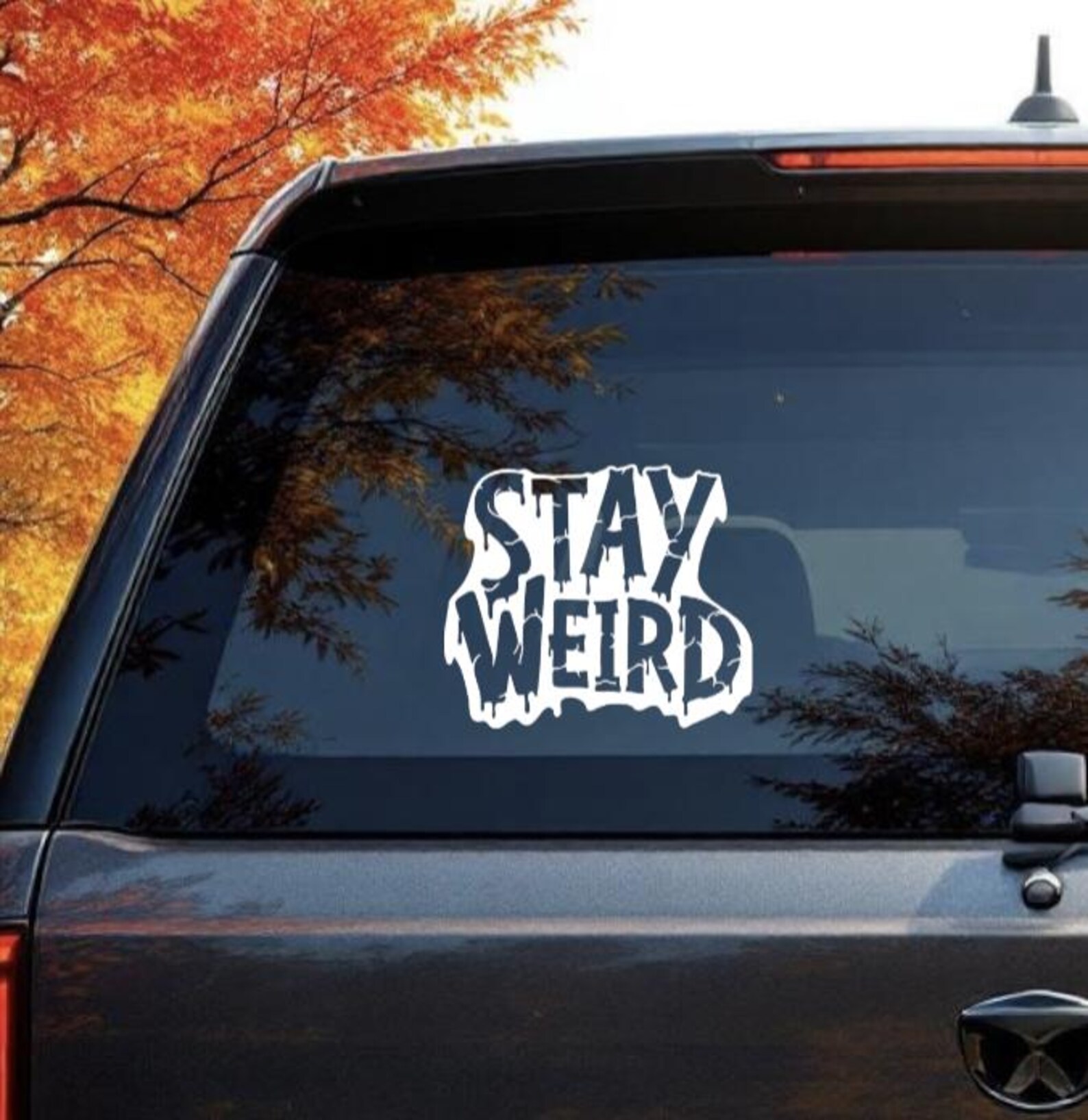 Stay Weird Swamp Oozy Vinyl Decal: Car Window, Laptop, Tumbler - Etsy