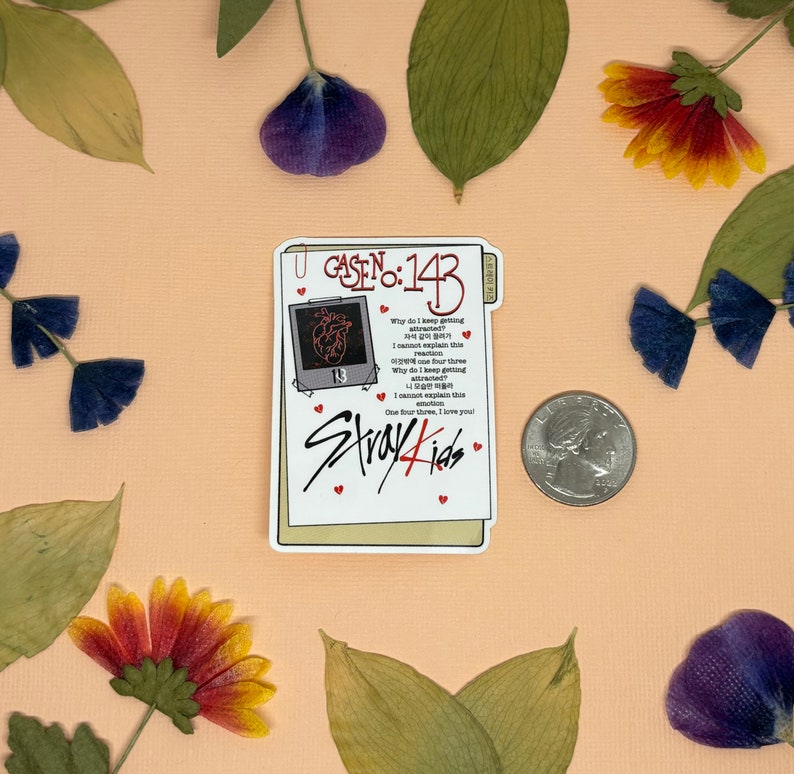 Stray Kids Case 143 Sticker - Etsy