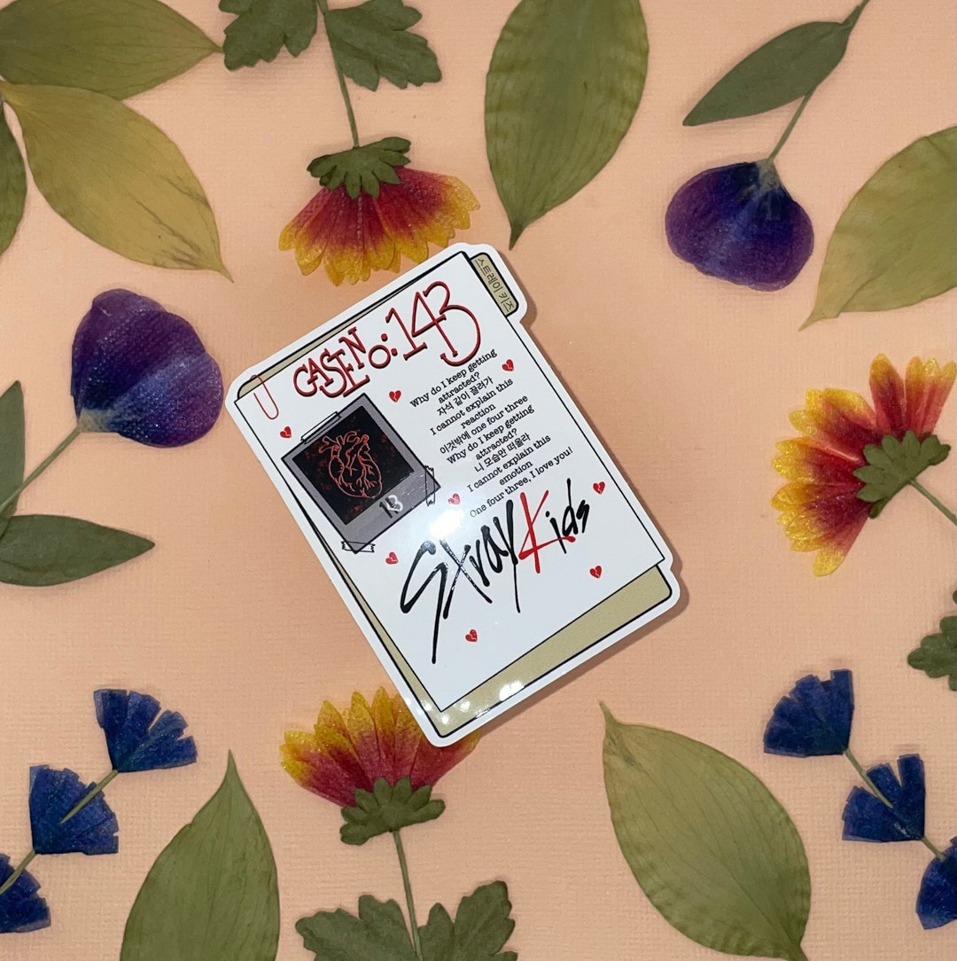 Stray Kids Case 143 Sticker - Etsy