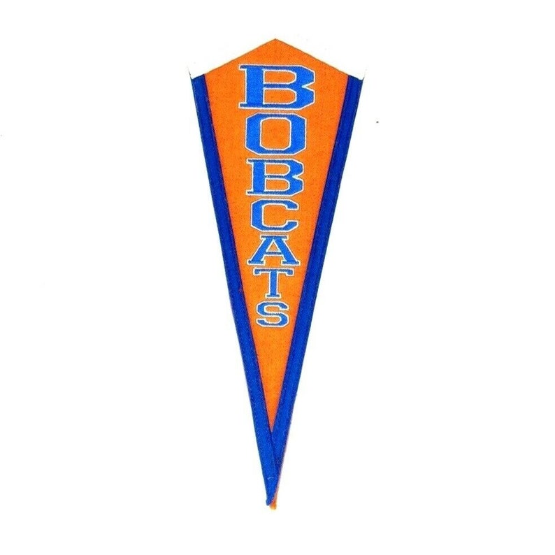 NBA Charlotte Bobcats Hornets Pennant Team Logo Wool Mini Basketball ...