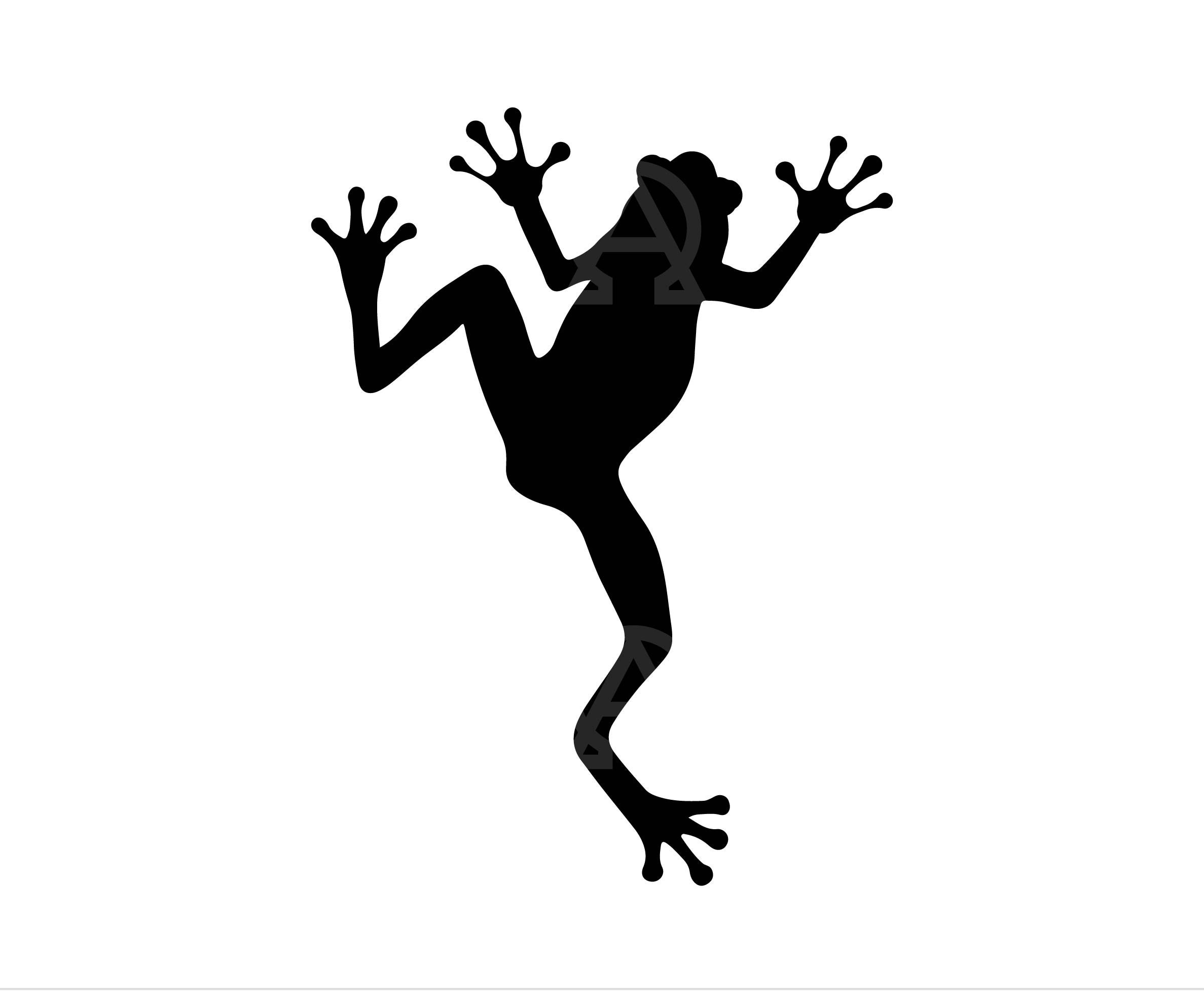 Climbing Tree Frog Drawings