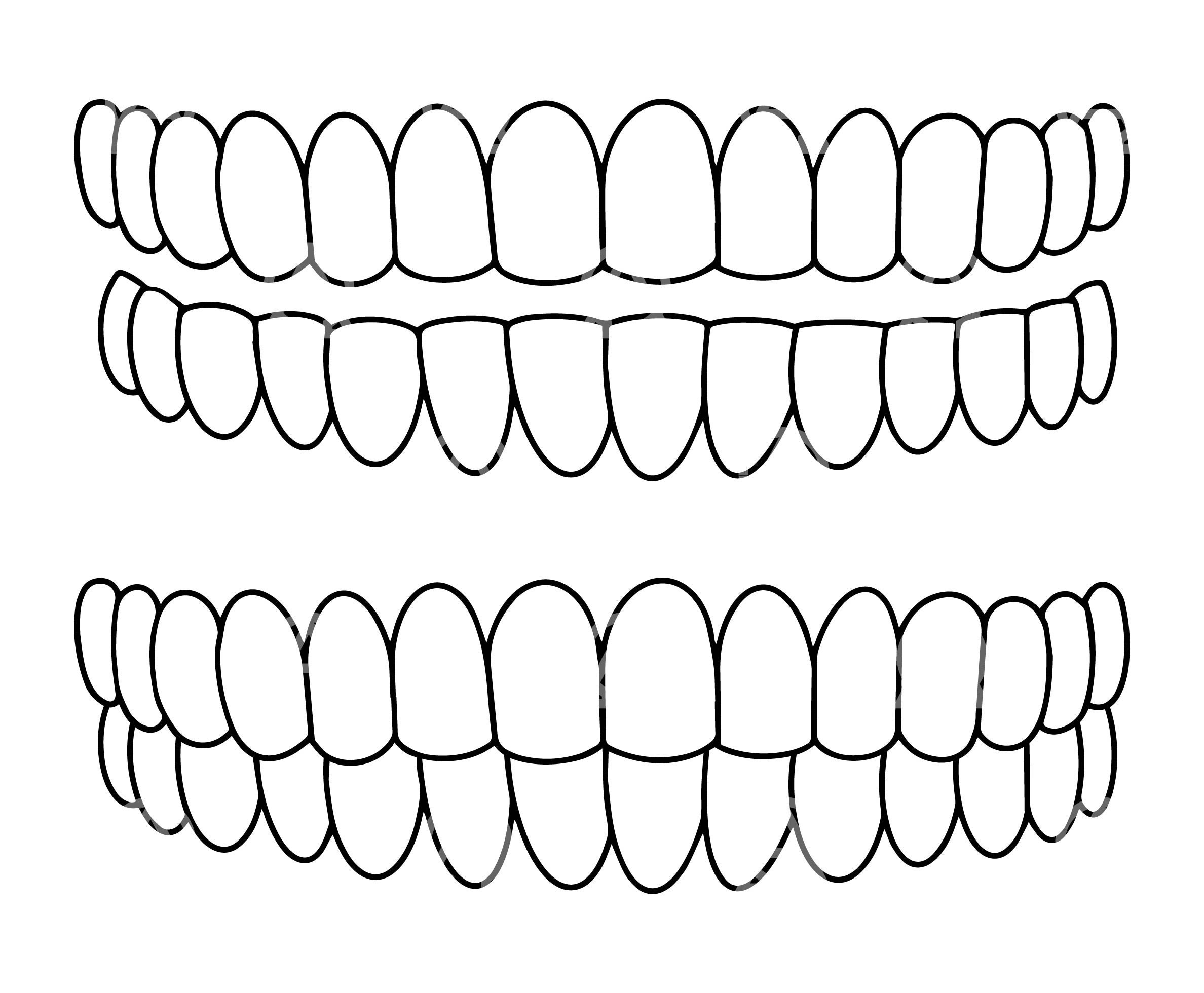 Teeth Svg, Teeth Cut File, Tooth Svg, Smiling Svg, Dentist Svg, Dental ...