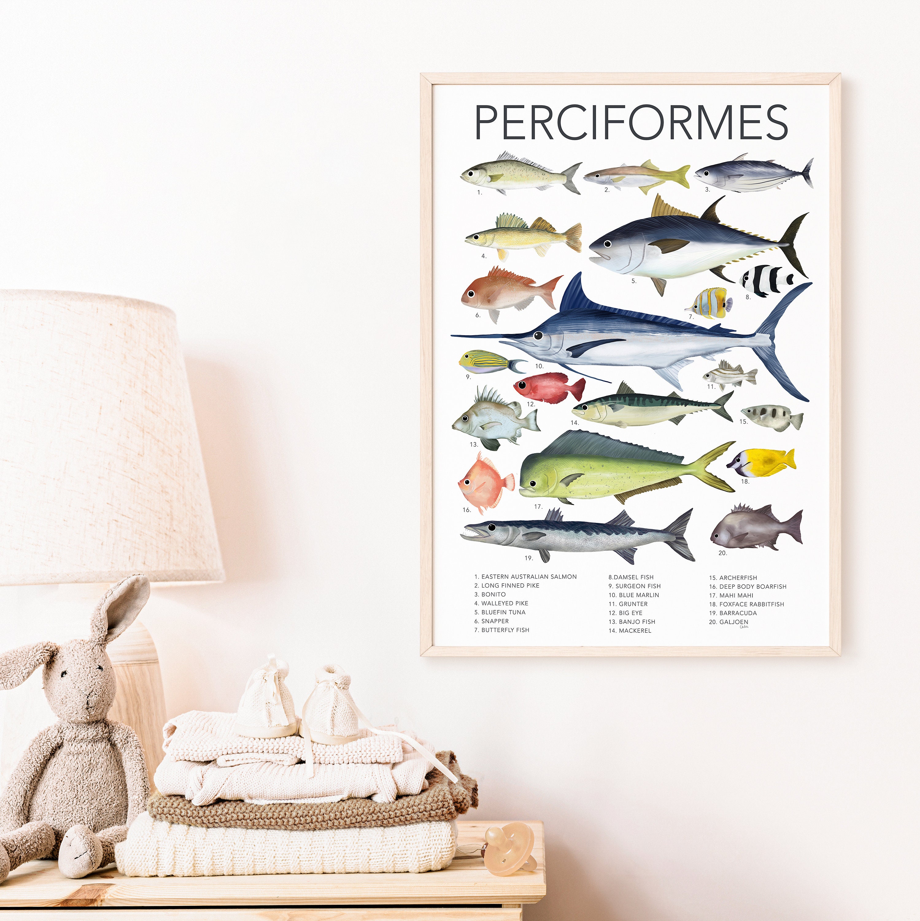 Fish Art Print Educational Ocean Poster Kids Room Neutral Art School ...