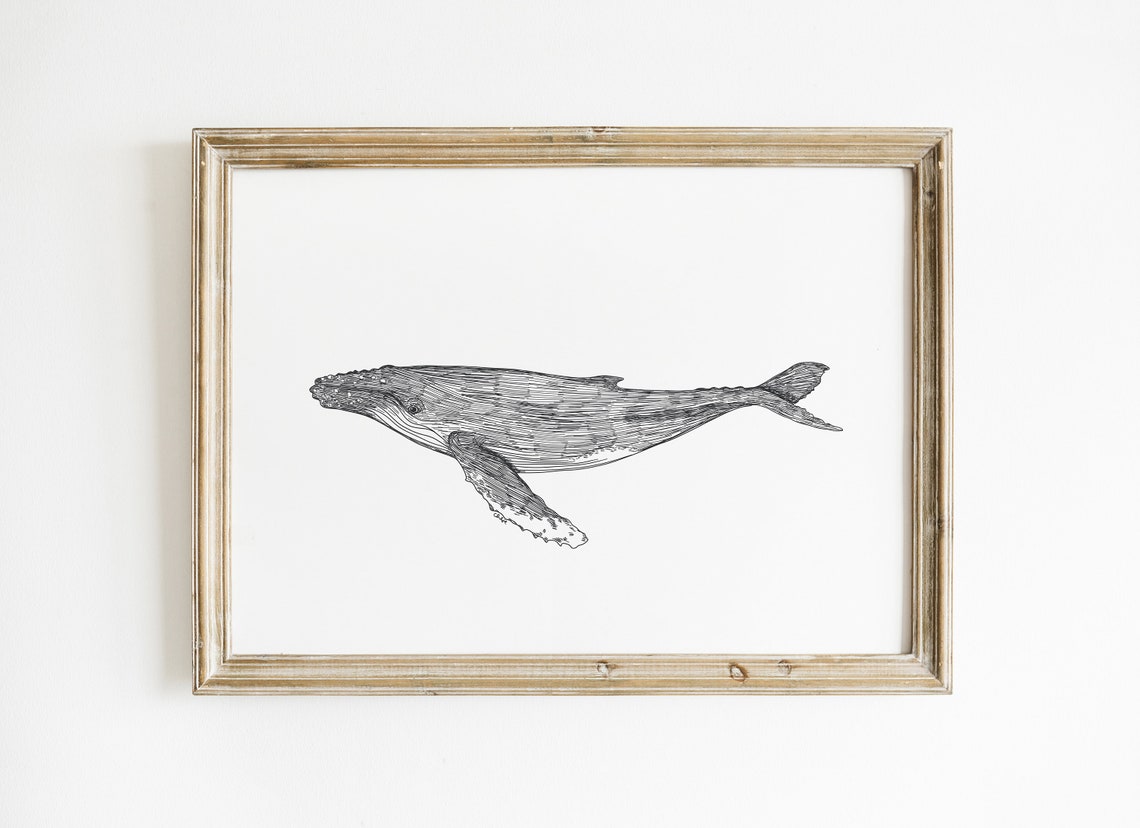 Whale Print Line Drawing Ocean Poster Kids Room Decor Neutral Nursery ...