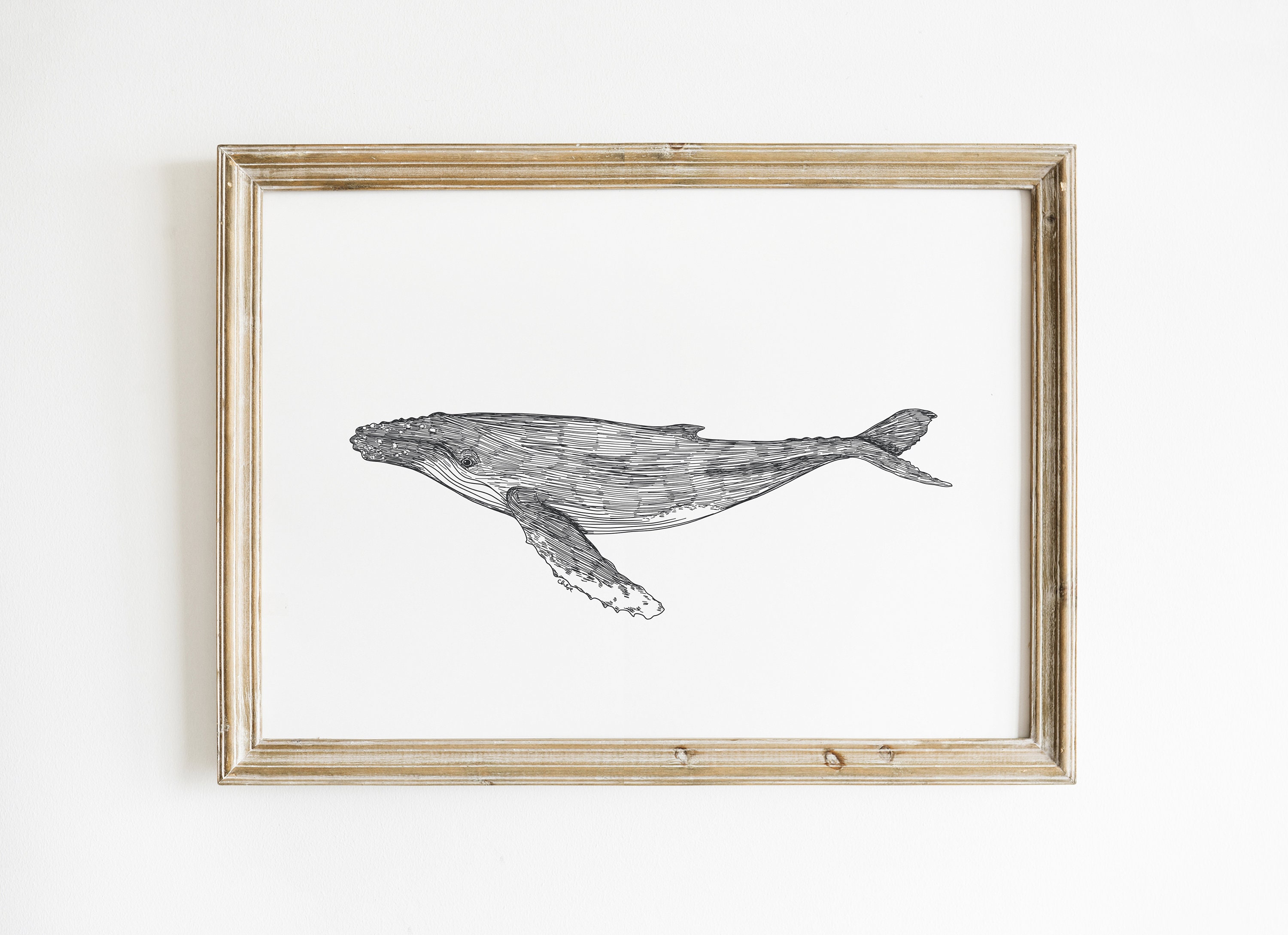 Whale Print Line Drawing Ocean Poster Kids Room Decor Neutral Nursery ...