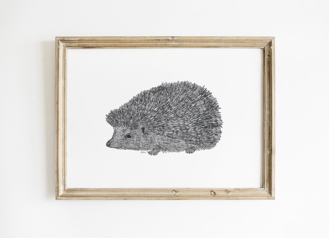 Igel Stift Skizze Minimalist Tier Zeichnung Vintage Line Art druckbare ...