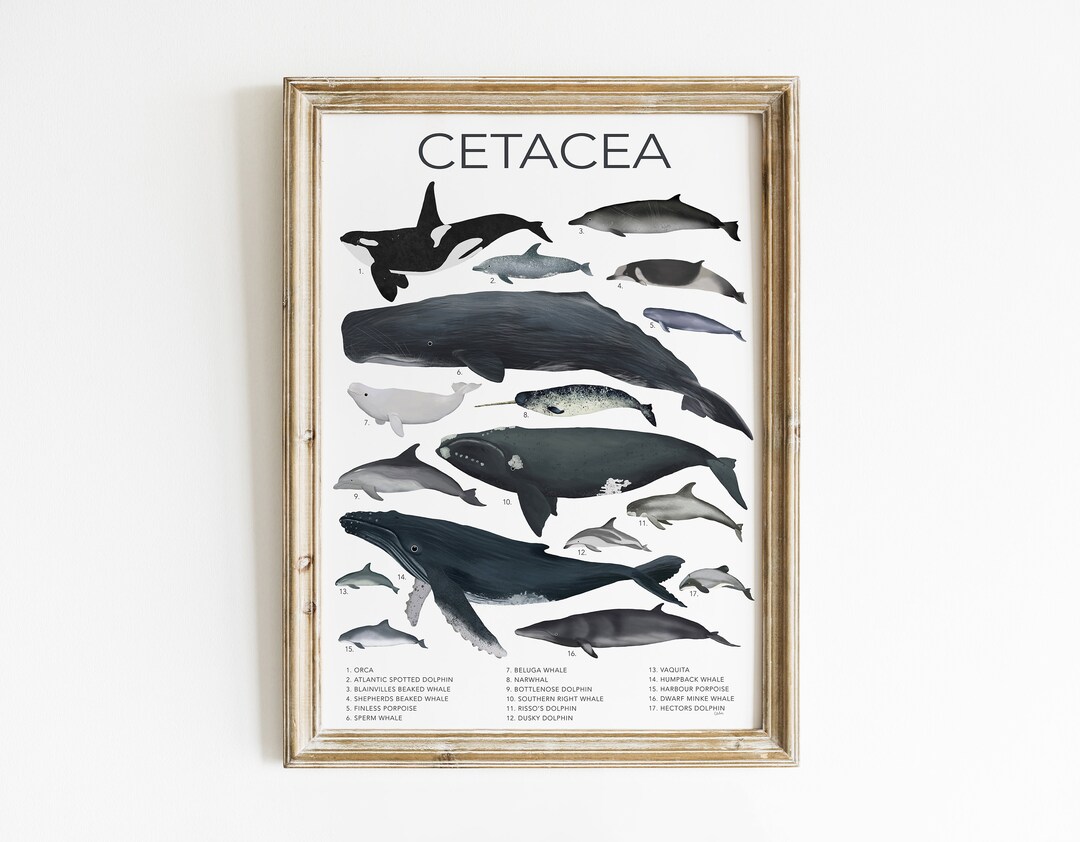Whale Art Print Ocean Poster Kids Room Decor Neutral Nursery ...