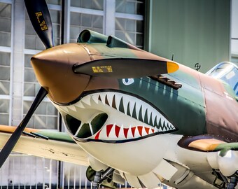 Classic Pinup P-40 Warhawk Aircraft Poster WWII Fighter - Etsy