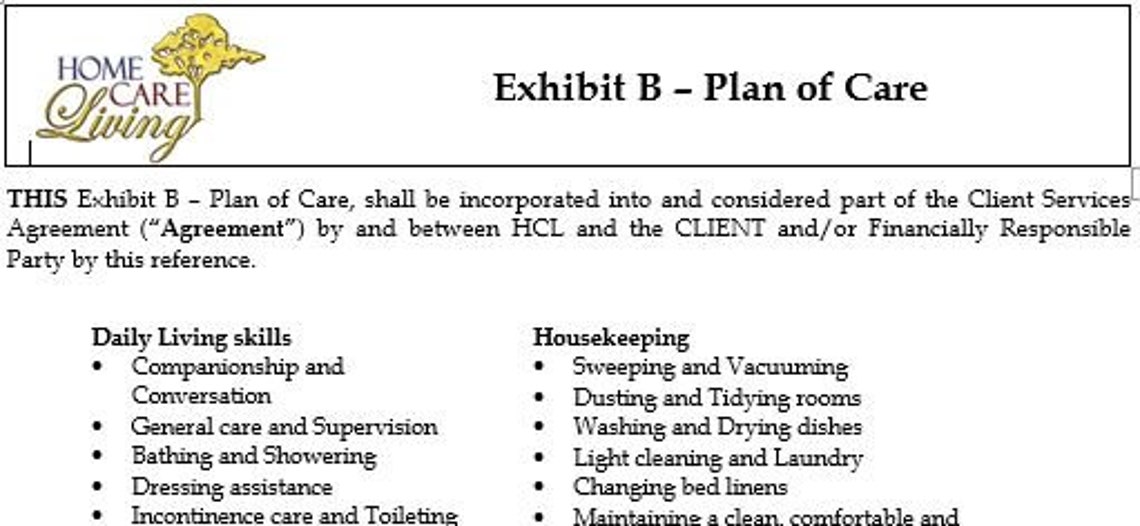 Home Care Client Plan Template: Cost & Services (3 Forms) - Etsy
