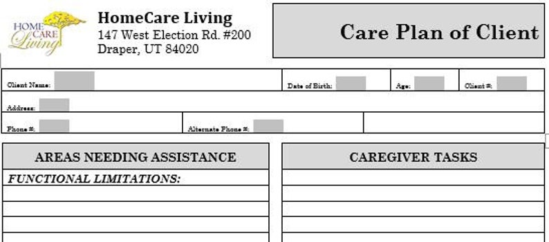 Home Care Client Plan Template: Cost & Services (3 Forms) - Etsy