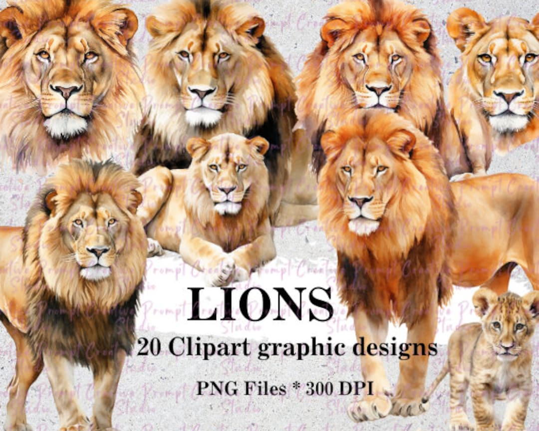Lion Clipart | Lion, Lioness, Lion Cubs, Safari Animals Digital ...