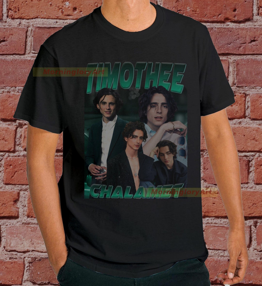 Timothee Chalamet Shirt Sweatshirt Sweater Cotton T-shirt Tee Unisex ...
