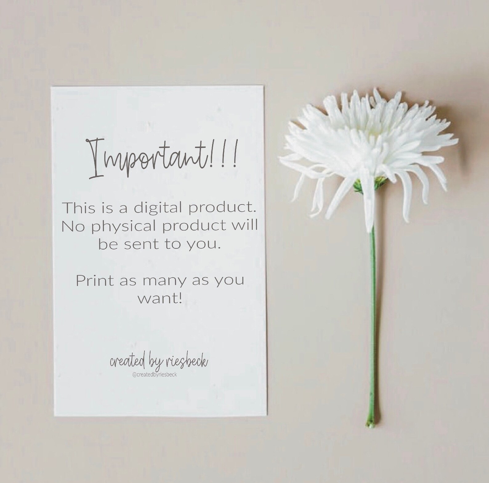 Weekly Planner Printable Pdf A4, Printable Weekly Planner, A4 Pdf ...