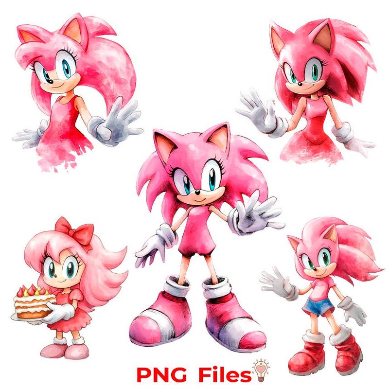 Amy Sonic Room Decor - Etsy