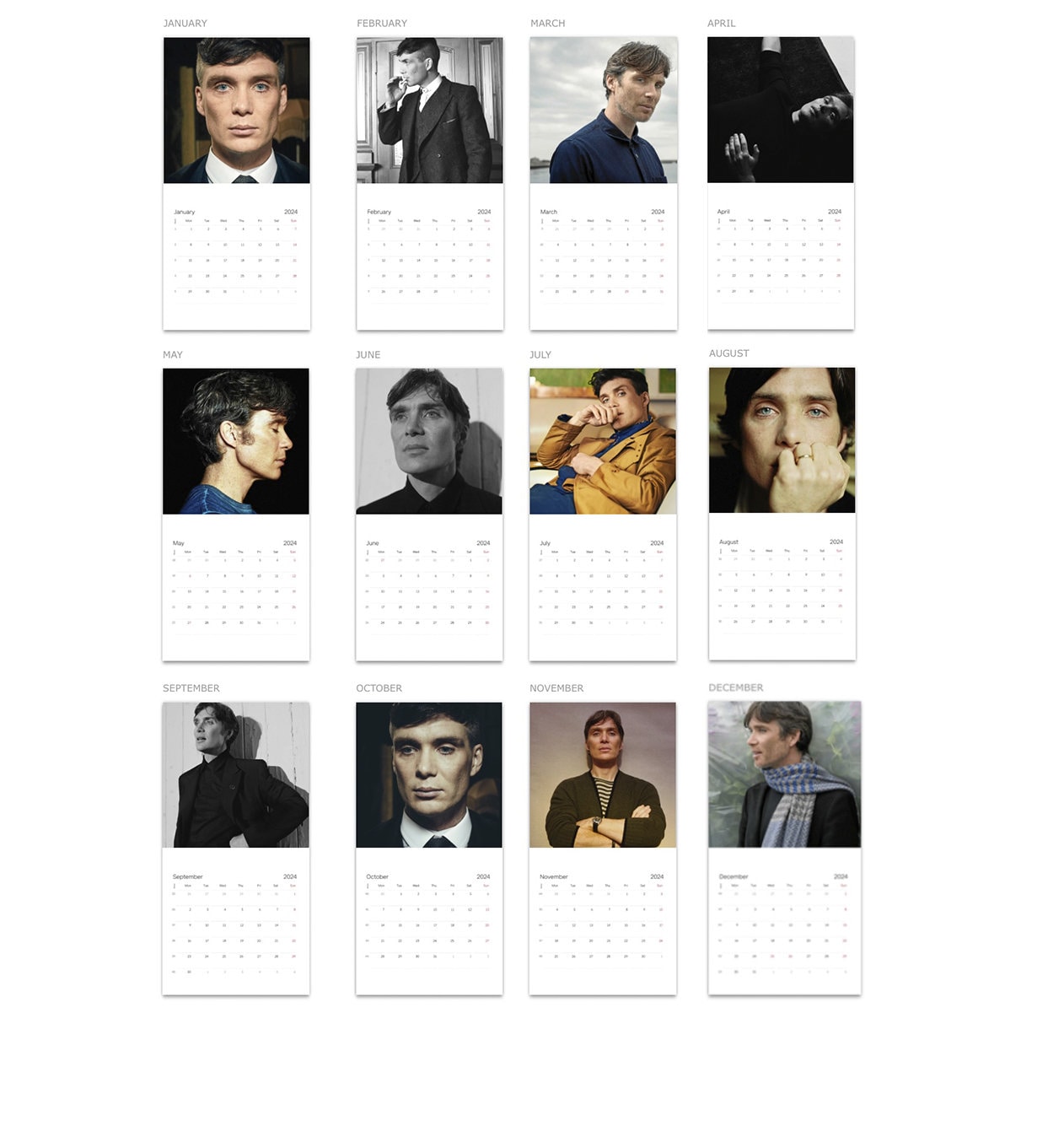 Cillian Murphy Calendar 2024 | Cillian Murphy 2024 Wall Calendar ...