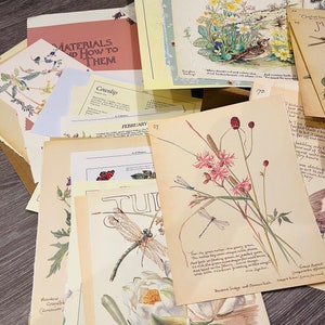 Edith Holden Craft Kit - Etsy UK