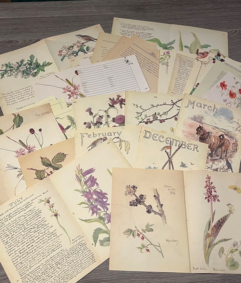 Edith Holden Craft Kit - Etsy UK