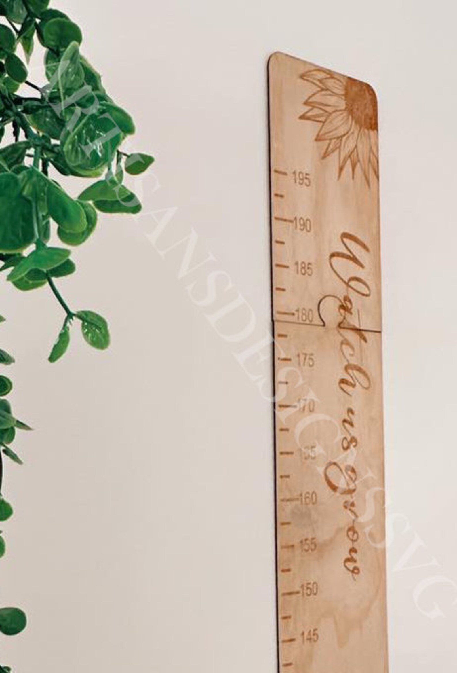 SVG Sunflower METRIC Growth Chart | Digital Design | SVG | Laser Cut ...