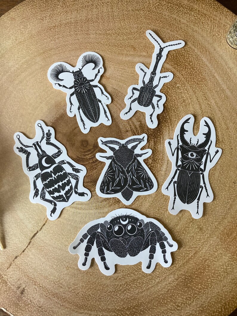 Entomology Vinyl Stickers // Jumping Spider / Moth Sticker / Beetle ...